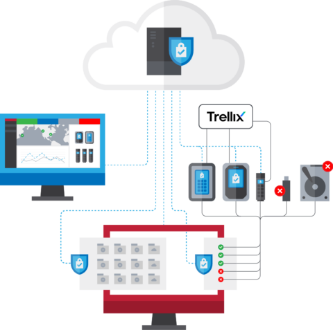 USB Drive Encryption & Secure USB Device Management with SafeConsole