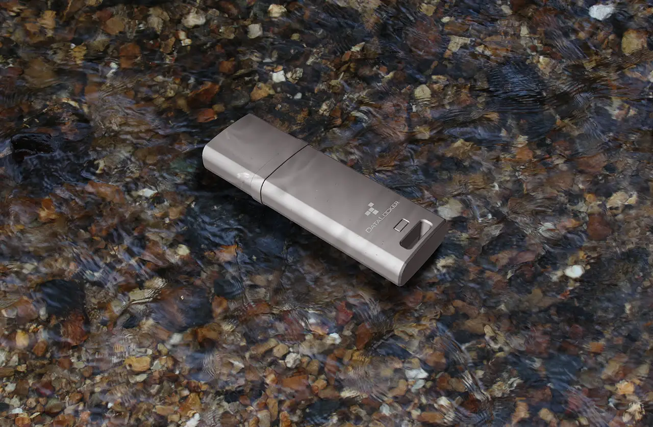DataLocker DL GO Encrypted Flash Drive: Simply Secure USB Storage for ...